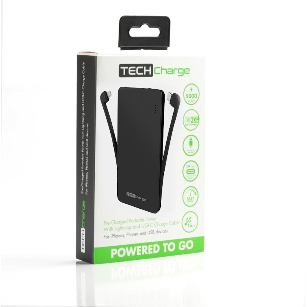 TechCharge Lightning/Type C Charger